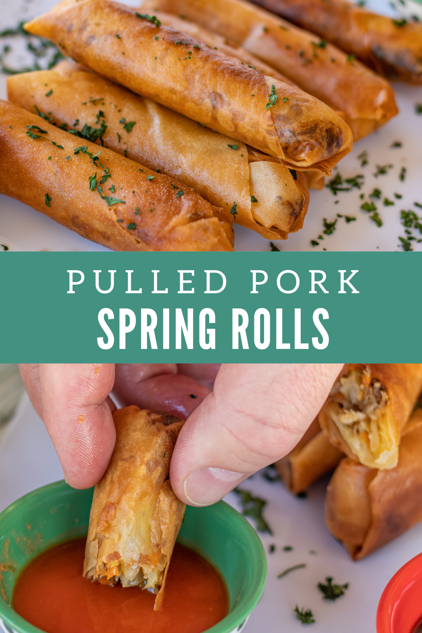 Pulled Pork Recipes - Belqui's Twist